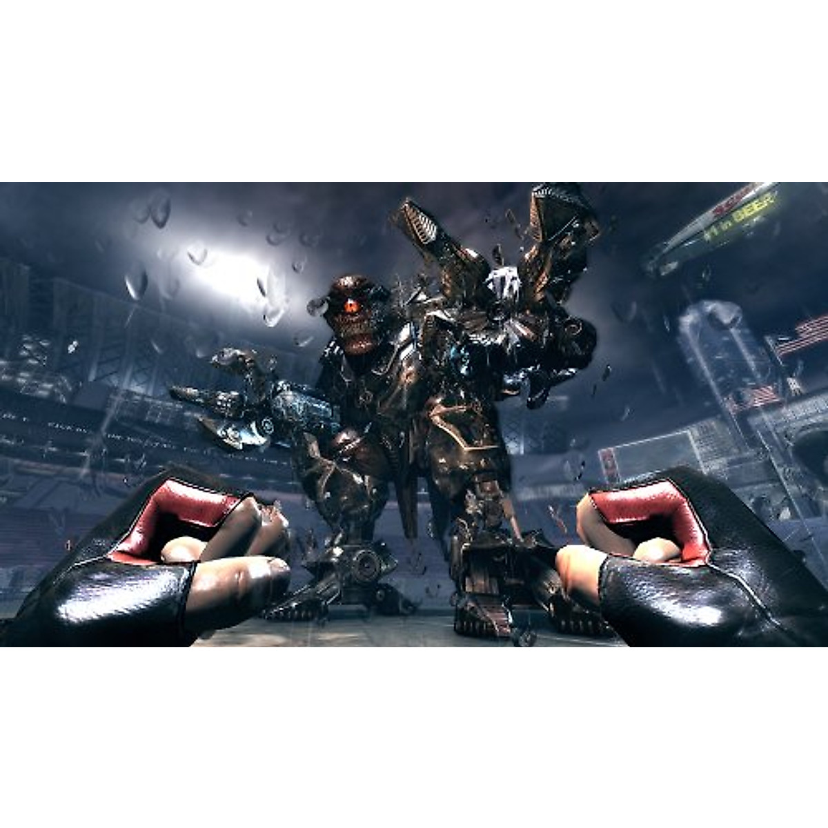 Duke Nukem Forever - Playstation 3