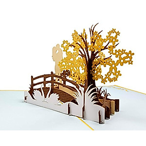 iGifts And Cards Happy 50th Anniversary 3D Pop Up Greeting Card - Marriage, Soulmates, Celebration, Memories, Half-Fold, Being Together, Celebrate a Milestone, Golden, Congratulations, Romantic, Love