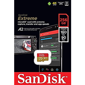 SanDisk Extreme 256GB Micro SD Memory Card for GoPro Works with GoPro Hero 9 Black Camera UHS-1 U3 / V30 A2 4K Class 10 (SDSQXA1-256G-GN6MN) Bundle with 1 Everything But Stromboli MicroSD Card Reader