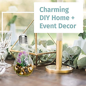 Plastic Light Bulb Jars Silver - 24pc Case - 100ml Clear - with Labels and String - Fillable with Candy, Ideal for Crafts