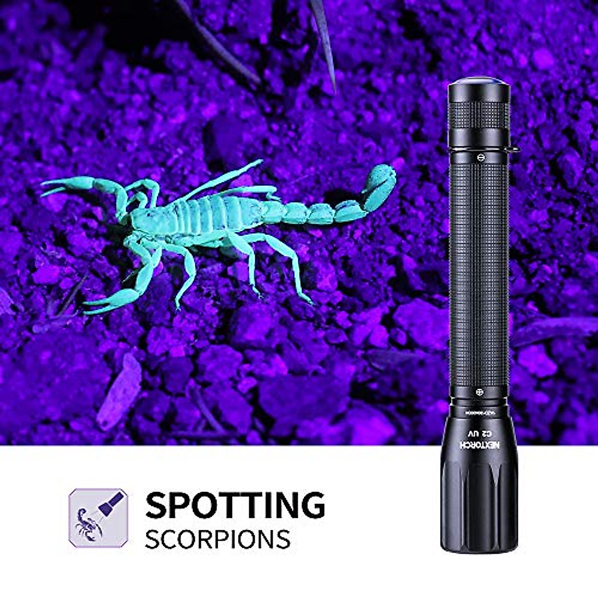 NEXTORCH 405nm uv Light UV Led Blacklight Flashlights Detector Ultraviolet Pocket-Size LED Torch for Pets Urine and Stains Find Stains on Carpet, Rugs 3D Printed Resin C2UV (405nm UV)