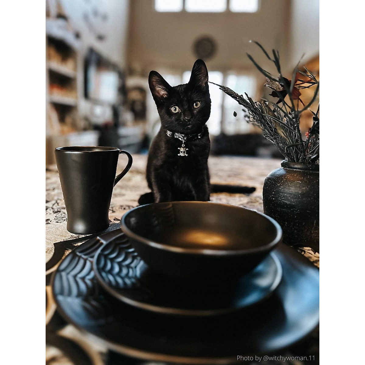 Nomnu Spiderweb Dinnerware Set (16 Pieces) - Gothic Kitchen Decor - Black Matte Porcelain Gothic Dinnerware Set: 4 Dinner Plates 4 Salad Plates 4 Bowls 4 Mugs - Spiderweb Decor Halloween Spooky Gifts