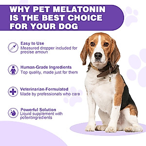 Melatonin for Dogs,Dog Melatonin,Dog Sleep Aid,Liquid Melatonin for Dogs,Calming for Dogs,Melatonin for Dogs Sleep Relieves Anxiety and Stress in Dogs, Helps Calm and Restful Sleep,Bacon Flavor