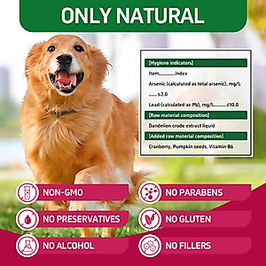 SDKJZXT Dog UTI Treatment - Effective Cat UTI Remedy and Cat UTI Medicine - Fast-Acting Relief for Pet Urinary Tract Infections - Safe and Gentle Formula for Dogs and Cats