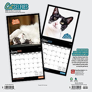 Cat Selfies | 2023 12 x 24 Inch Monthly Square Wall Calendar | BrownTrout | Pet Humor Kitten Feline