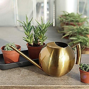 AUNMAS 1000ML Bonsai Watering Can, Stainless Steel Decorative Copper Colored Sprinkle Pot Long Mouth Gooseneck Spout, Indoor Outdoor Garden Plants Tool (Gold)