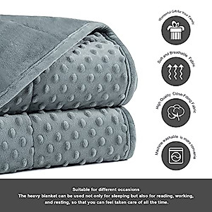 Alomidds Weighted Blanket (60"x80",20lbs Queen Size - Grey), Weighted Blankets for Adults and Kids, Cooling Breathable Soft and Comfort Minky, Heavy Blanket Microfiber Material with Glass Beads
