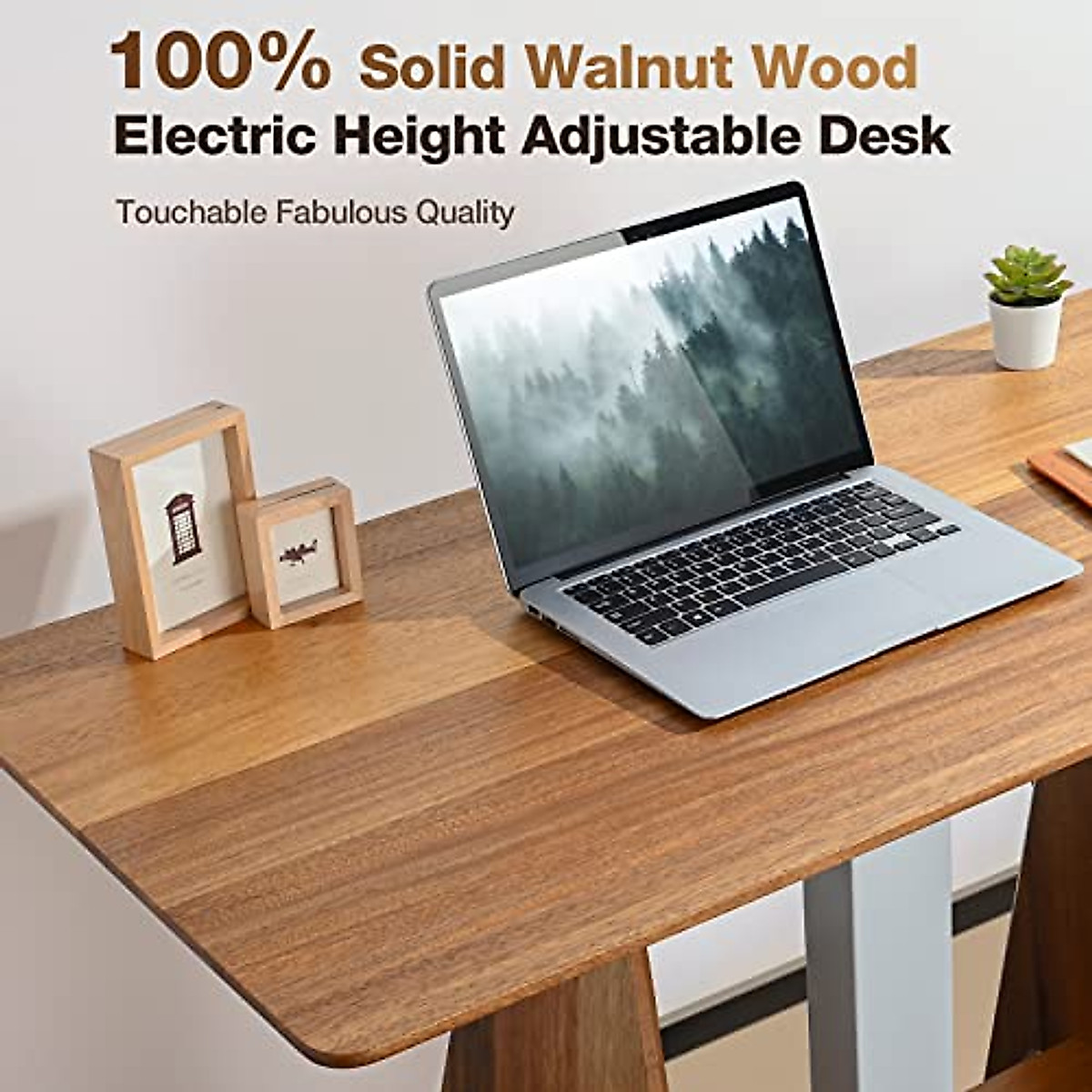 HOUSEELF Adjustable Standing Desk, 100% Solid Wood Adjustable Height Desk w/ 29"-48" Height Controller, Unique Look, Sturdy Legs, Silent & Smooth Lift, Sit Stand Up Desk for Home Office Study, Walnut
