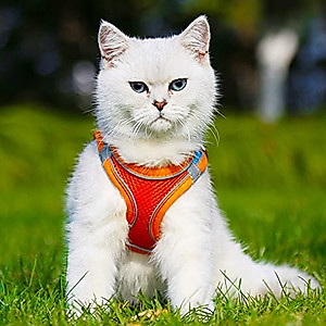 Soft Mesh Dog Harness and Leash Set for Walking Summer Step in Vest Harness Reflective Bands Adjustable No Pull Pet Supplies for Small Dogs and House Cats Belly Bands for Dogs with Snaps (Orange, XS)