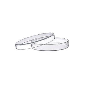 EISCO Petri Dish, 5.9" (150mm) - Beaded Edges - Easy to Sterilize for Repeated Use - Soda Glass