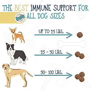 PAWrfect Plates Joint Support Flexy-Bites Supplement for Dogs Glucosamine Chondroitin MSM Large Breed Hip Joint Duck Flavor Chews Vitamins Skin Coat