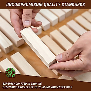BeaverCraft BW10 Basswood Carving Blocks Set - Basswood for Wood Carving - Wood Blocks - Whittling Wood Carving Wood Blocks for Carving