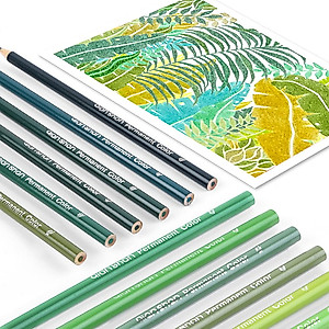 qianshan 12 Green Colored Pencils Oil Based Pre-sharpened Wooden Colored Pencil Set for Adults Coloring Books Drawing Sketching Art Supplies, No Duplicates
