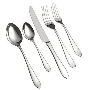 Ginkgo International Linden 20-Piece Stainless Steel Flatware Place Setting, Service for 4