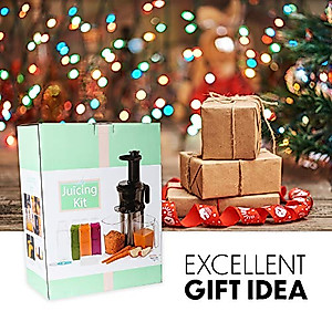 Cold Press Masticating Juicer With 16 oz Plastic Juice Bottles With Black Caps And Juicing Recipe Book, Includes Funnel And Brush