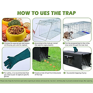 Live Animal Trap Cage with Cover, Cat Trap for Stray Cats 32 Inch Heavy Duty Folding Skunk Trap with Real Door for Raccoons, Opossums, Groundhogs, Skunks, Feral Cats, Squirrels-2 Packs