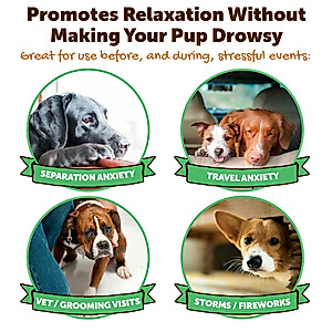 Riley's Calming Peanut Butter for Dogs - Dog Peanut Butter Calming Aid - Separation Anxiety Relief for Dogs - 8.46 oz