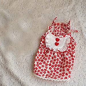 IULJH Pet Clothes Puppy Dress Dog Dress Summer Red Lace Flower Princess Costume (Color : D, Size : Lcode)