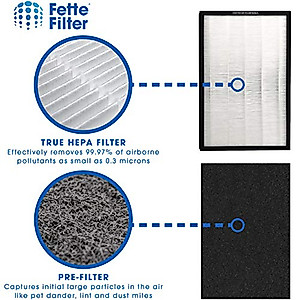 Fette Filter - True HEPA Air Purifier Filter Model AC5600W. Filter N Compare to Part # FLT5600. (Pack of 1)