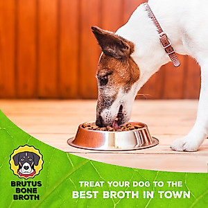 Brutus Vegetable Broth for Dogs | All Natural | Made in USA |Omegas & Turmeric for Healthy Skin & Coat |Human Grade Ingredients |Hydrating Dog Food Topper, Gravy & Treat Salmon 12-Pack