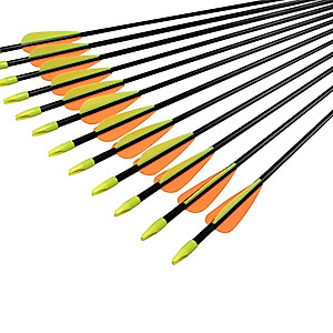 NIKA ARCHERY Fiberglass Arrows for Youth Practise Recurvebow Compound Bow Shooting 12X 26 inch