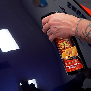 Pinnacle Natural Brilliance PIN-370 Crystal Mist Detail Spray, 16 fl. oz.