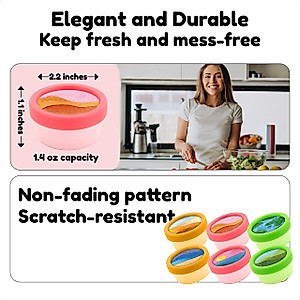 HOUSYLOVE Plastic Small Containers With Lids For Lunch Box, Colorful Painting Mini Containers With Lids, Tiny Containers With Lids, Dip Containers For Lunches, 6 Pack