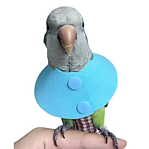 Barn Eleven Bird Collar Anti Bite Elizabethan Recovery Cone, Bird Neck Protector for Feather Plucking, Skin-Friendly Bird Neckwear for Parakeet Color Randomly (Green-cheeked Conure)