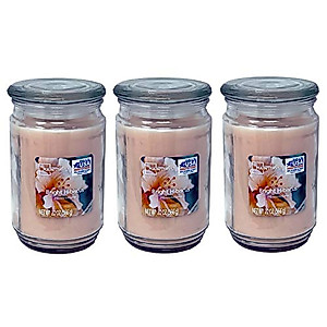 Mainstays 20oz Bright Hibiscus Scented Candles, 3-Pack