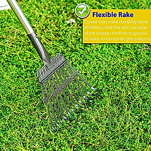 Pooper Scooper for Large & Small Dogs - Rust Proof Stainleass Metal Dog Pooper Scooper - Strong & Sturdy Rake & Scooper with 37.4" No Bending Long Handle Great for Yard or Outdoor (Standard)