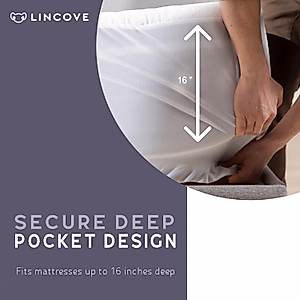 Lincove Quilted Fitted Mattress Protector, Queen – Elastic Mattress Protector – Bed Topper Covers Up to 16 Inches Deep, 100% Cotton, Breathable Braided Texture, Machine Washable & Dryer Safe