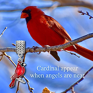 LONAGO Red Cardinal Charm 925 Sterling Silver Dangle Bird Bead Fit Bracelet Our Love Never Dies Gifts for Women Mom