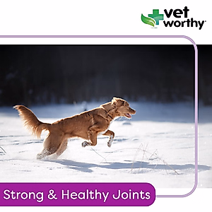 Vet Worthy Joint Support Level 3 - Chewable Tablet to Support Bone Health and Healthy Joints - Dog Supplement with Glucosamine, MSM, Hyaluronic Acid, Advanced Joint Care - Liver Flavor, 90-Count