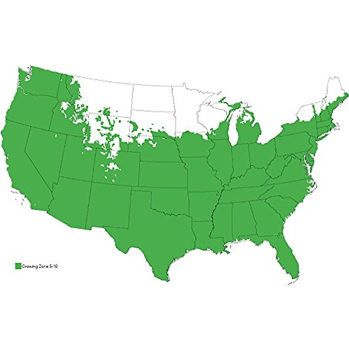 Peach Drift® Rose - Size: 1 Gallon, Live Plant, Includes Special Blend Plant Food & Planting Guide