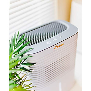 Crane Dehumidifier, Compact Portable Design, Effective Moisture Removal up to 300 Sq. Feet, 0.5 Gallon – 2 Liter Water Tank, White