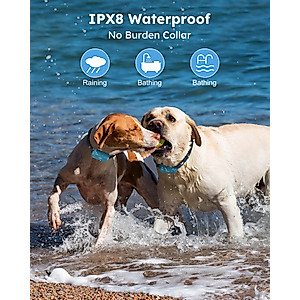 Jugbow Dog Shock Collar 2 Dogs - 4200FT Dog Training Collar with Remote, IPX8 Waterproof E Collar for Dogs Training Rechargeable Collars for Large Medium Small Dogs (10-120lbs)