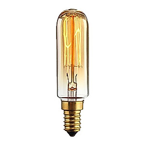 T25/T28 Candelabra Vintage Bulbs,Incandescent Filament Light Bulb,E12 Candelabra Base(40W),Light Bulbs 110-130V (40)