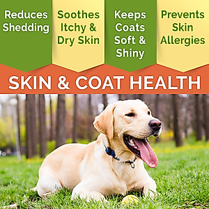 PawfectCHEW Fish Oil Omega 3 for Dogs - Allergy Relief - Joint Health - Itch Relief, Shedding - Skin and Coat Supplement - Alaskan Salmon Oil Chews - Omega 3 6 9 - EPA & DHA Fatty Acids