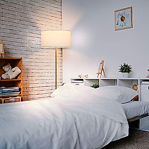 Brightech Quinn LED Floor Lamp, Modern Lamp for Living Rooms & Offices, Mid-Century Modern Standing Lamp, Tall Lamp with Heavy Base for Bedroom Reading, Great Living Room Décor Lamps – Brass/Gold