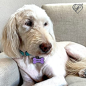 Love Your Pets Soundless Shapes Pet Tag - Deep Engraved Silicone - Double Sided and Engraving Will Last - Includes Shipping with Tracking- Pet ID Tags, Dog Tags, Cat Tags