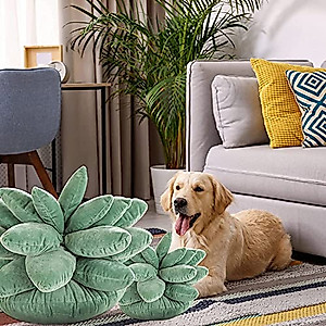 TYISON 3D Succulents Cactus Pillow, Cute Succulents, for Garden or Green Lovers Baby Green Plant Throw Pillows for Bedroom Room Home Decoration Novelty Plush Cushion