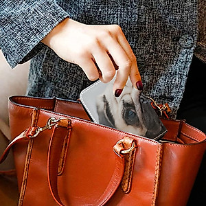 Oyihfvs Vey Cute Pug Dog Grey Credit Card Coin wallet, RFID Blocking Compact Women Leather Card Holder, Key Change Organizer, Zipper Purse Clutch Pouch Pocket, Multi 7, 4.7x3.1x0.8 Inch