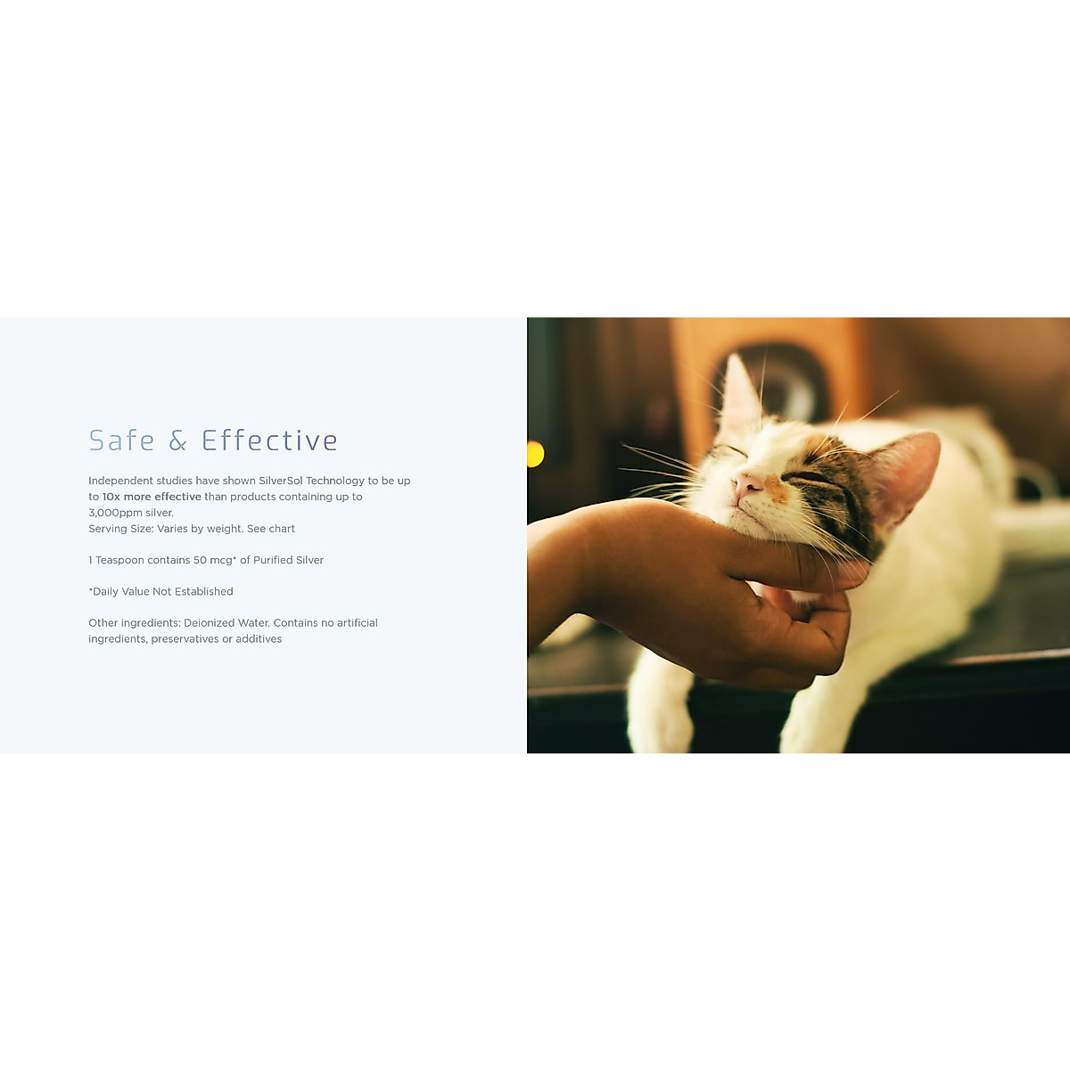 Silver Biotics Pet Vet Immune Support | Enhances The Immune Response in Pets | 16 Fl Oz