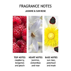 Molton Brown Jasmine & Sun Rose Eau e Toilette Spray, 3.3 Fl Oz