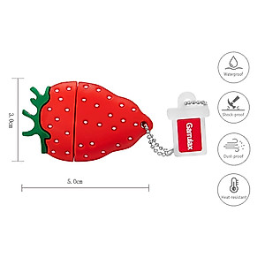 GARRULAX USB Flash Drive, 8GB / 16GB / 32GB Novelty Cute Cartoon USB Memory Stick Date Storage Pendrive Thumb Drives for Kids Children Collegue Student (32GB, Strawberry)