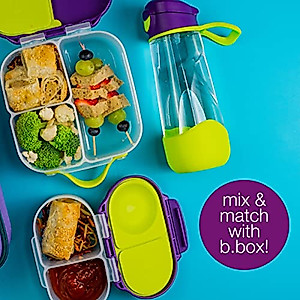 b.box Sport Spout Drink Bottle with Flip Top Lid, Durable Water Bottle for Kids, Leak-Proof, 15oz, Indigo Rose