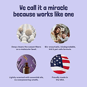 Sunny & Honey Carpet Miracle - Carpet Cleaner (32 Fl Oz (Pack of 1), Light Lavender Scent)