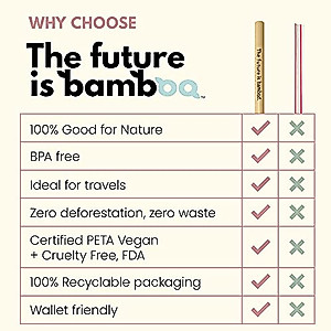 The Future is Bamboo – Bamboo Straws, Reusable Straws, Wooden Straws for Drinks, Pack of 6