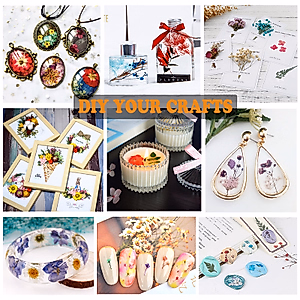 LUCISKY 152 Pcs Dried Pressed Flowers for Resin and Nails, Real Natural Flowers Leaves and Butterfly Stickers for Jewelry Soap and Candle Making