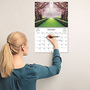 2024 Garden Path Wall Calendar, 12-Inch x 9-Inch Size Closed, 18-Inch Size Open, Large Bookstore-Quality, Spiral-Bound Hanging Monthly Wall Calendars for Kitchen & Office, by Current